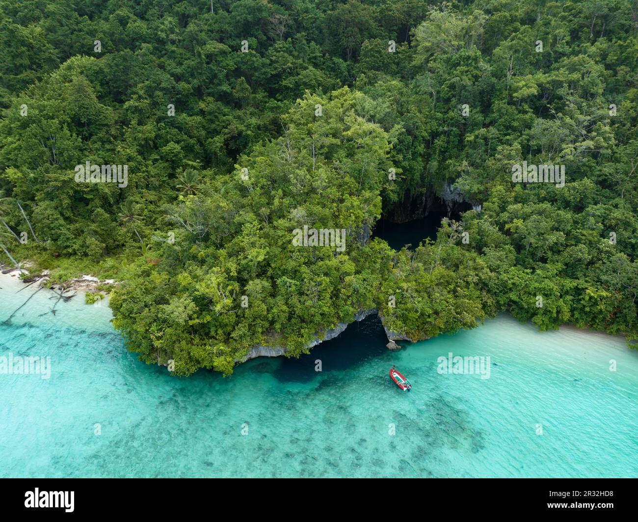 The mouth of a dark, water-filled cave opens on the edge of a forest ...
