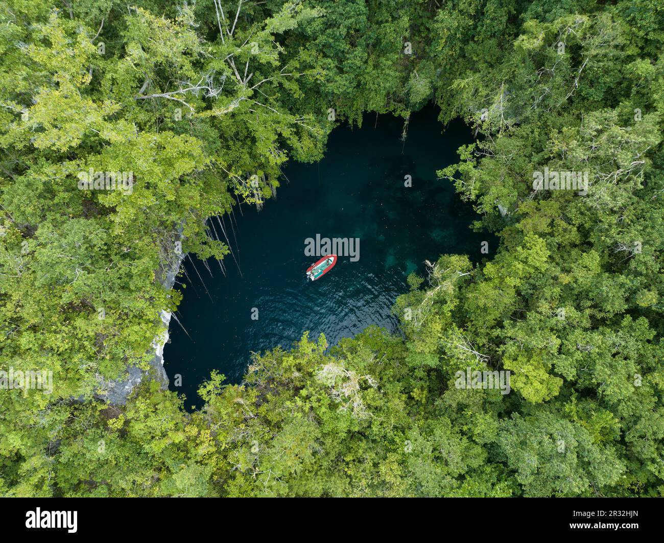 The collapsed roof of a dark, water-filled cave opens into a forest ...
