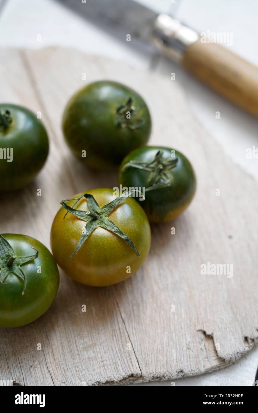Traditional organic, raw Sardinian cherry tomatoes called Camone type ...