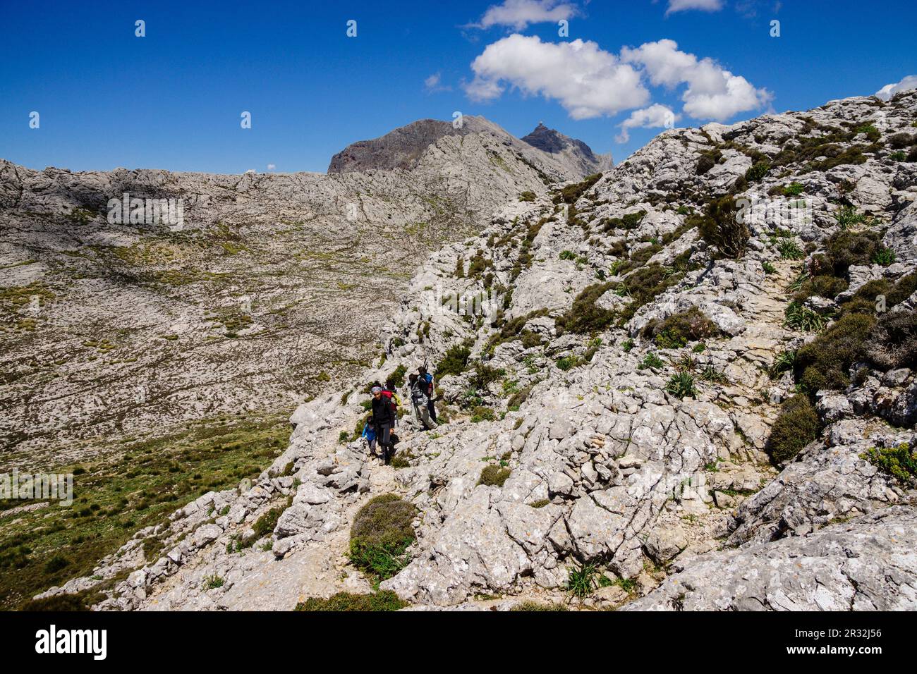 Puig Major, 1436 meters, sierra de Son Torrella, Escorca, sierra de ...