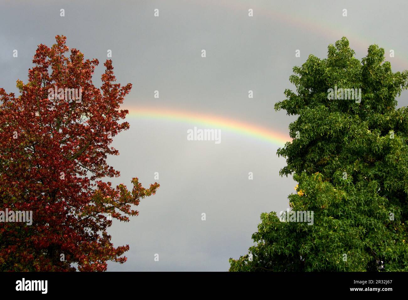 Rainbow with trees hi-res stock photography and images - Alamy