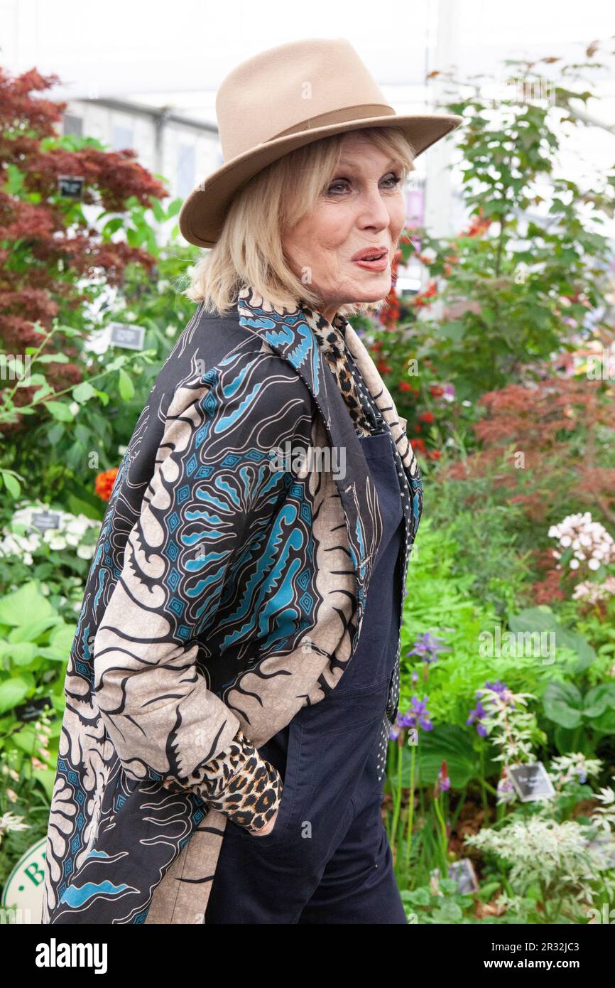 London, UK. 22nd May, 2023. Dame Joanna Lumley at the Chelsea Flower ...