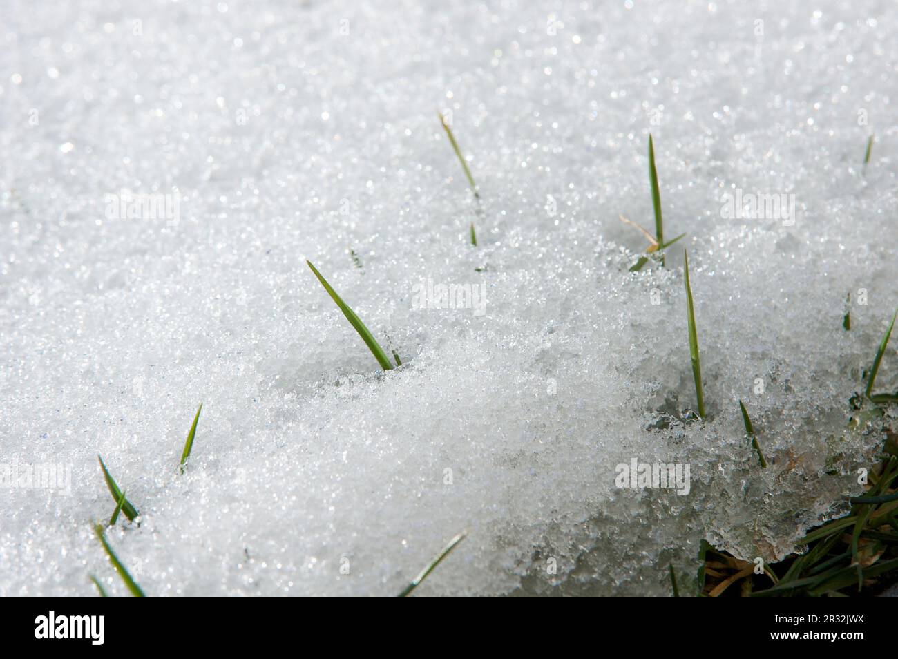 Ice melting detail hi-res stock photography and images - Alamy
