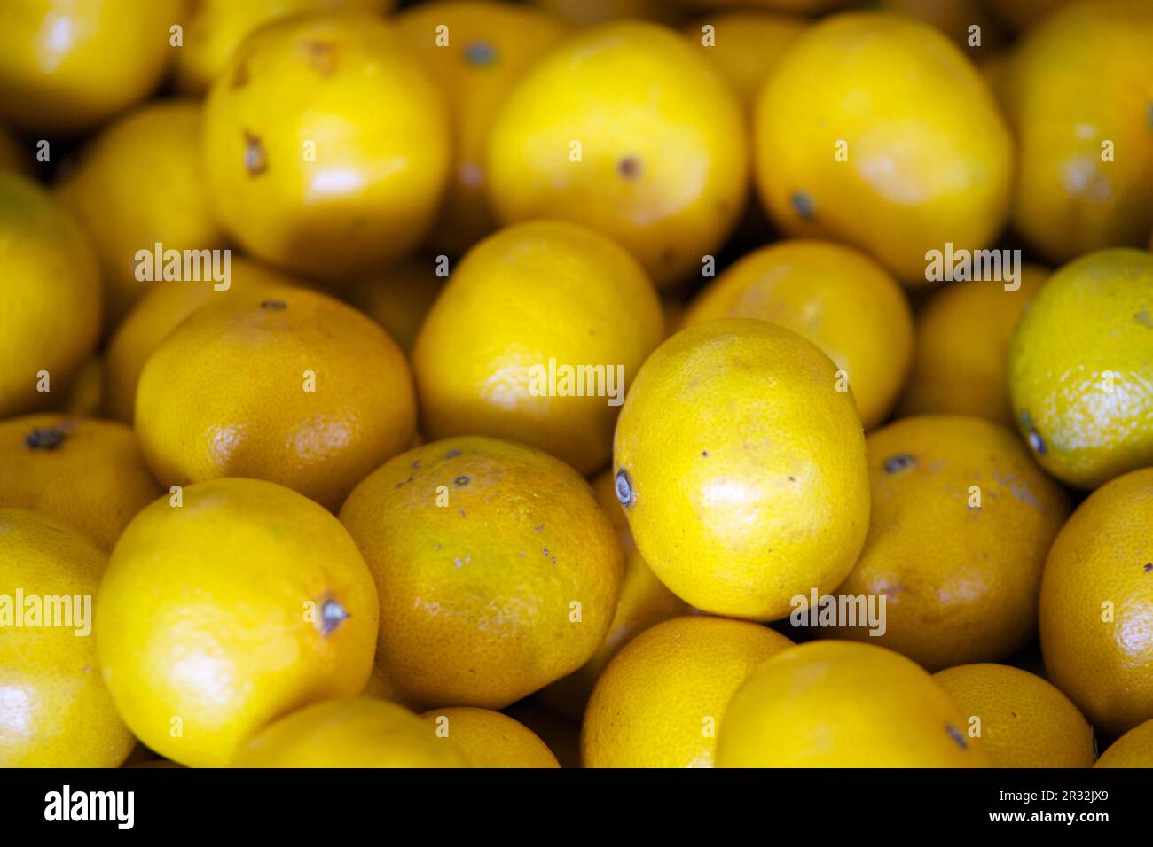 Super market fruit hi-res stock photography and images - Alamy