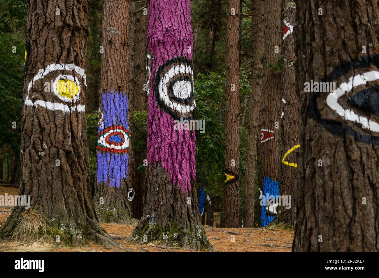 Presente turistico hi-res stock photography and images - Alamy