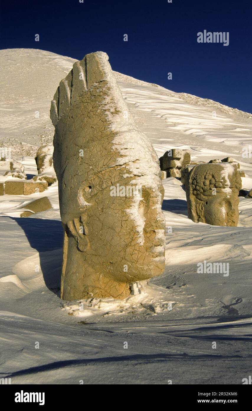 Antioco epifanes hi-res stock photography and images - Alamy