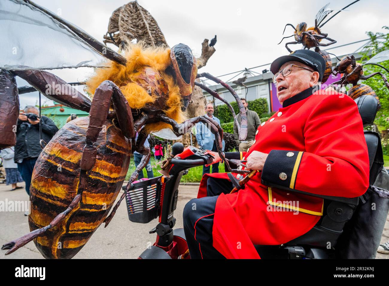 London, UK. 22nd May, 2023. The Royal Entomological Society Garden ...