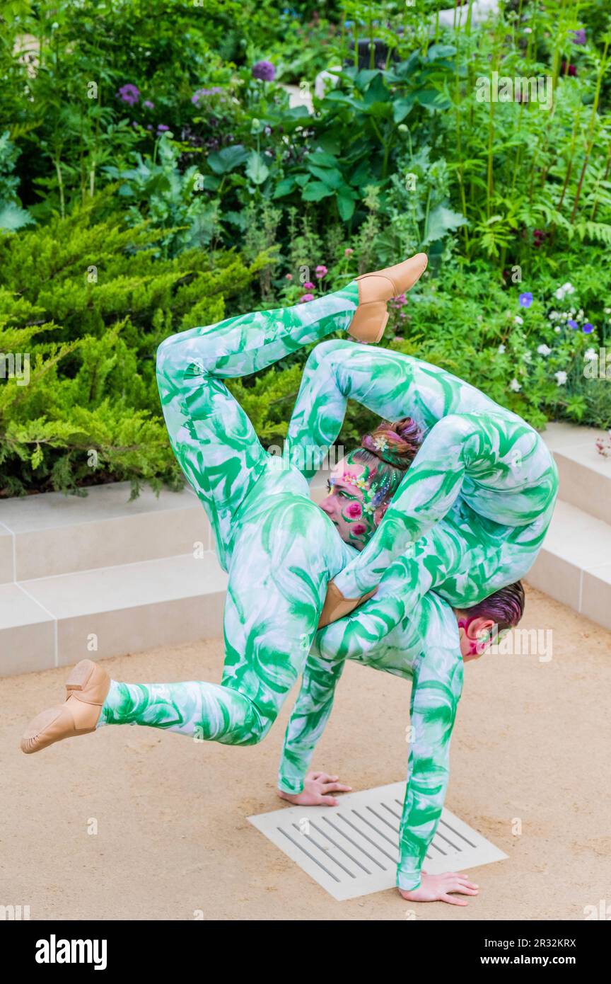 Contortionists hi-res stock photography and images - Alamy