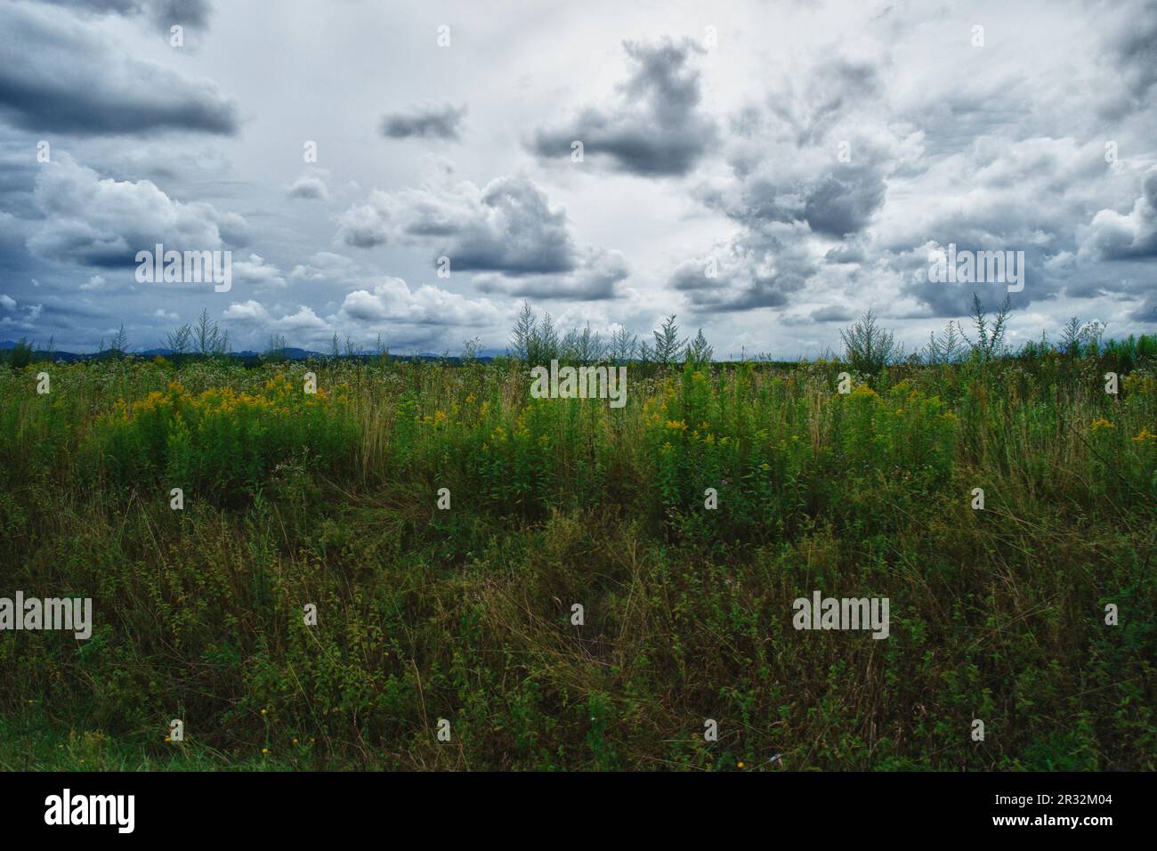 Edge of storm hi-res stock photography and images - Alamy