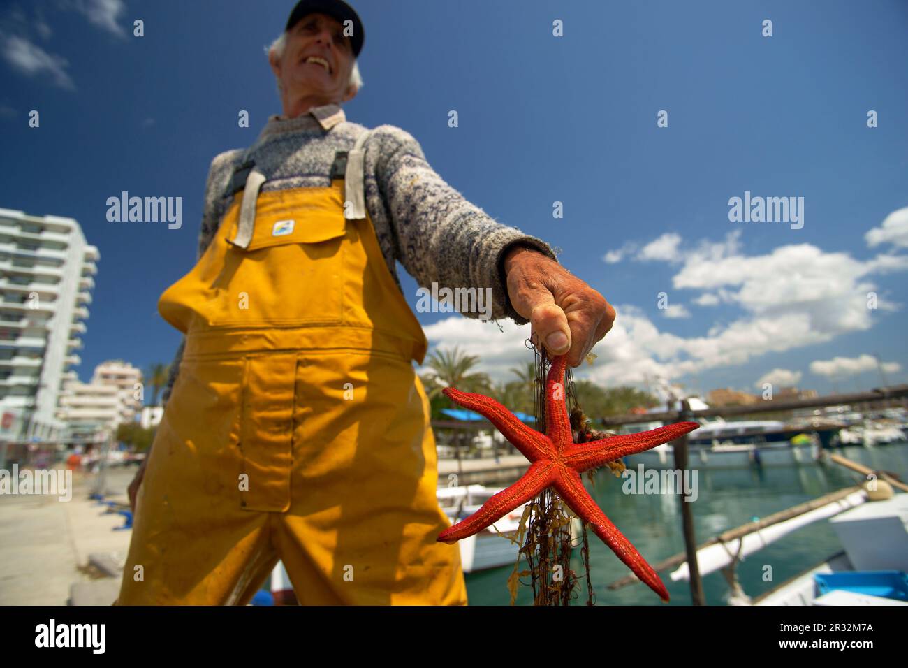 Pesca tradicional.Puerto de Sant Antoni.Ibiza.Illes Balears.España ...