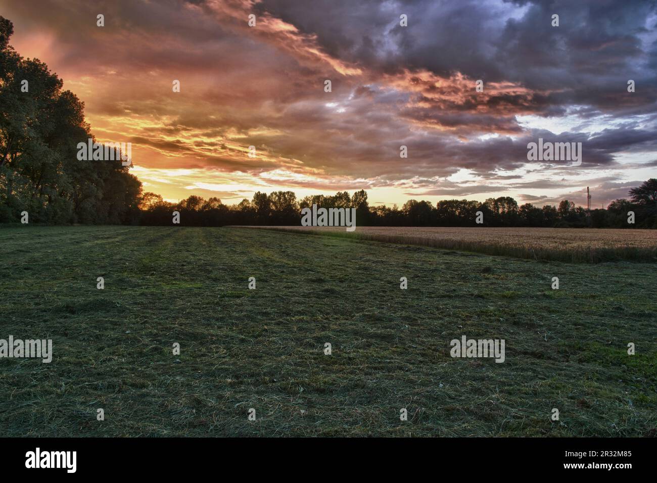 Half mowed hi-res stock photography and images - Alamy