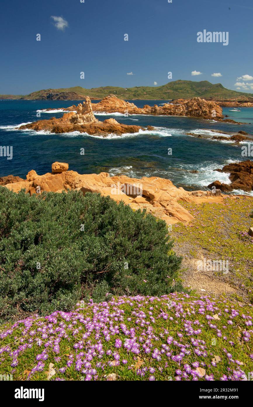 Escullar de Pregonda.Cala Pregonda.Menorca.Reserva de la Bioesfera ...