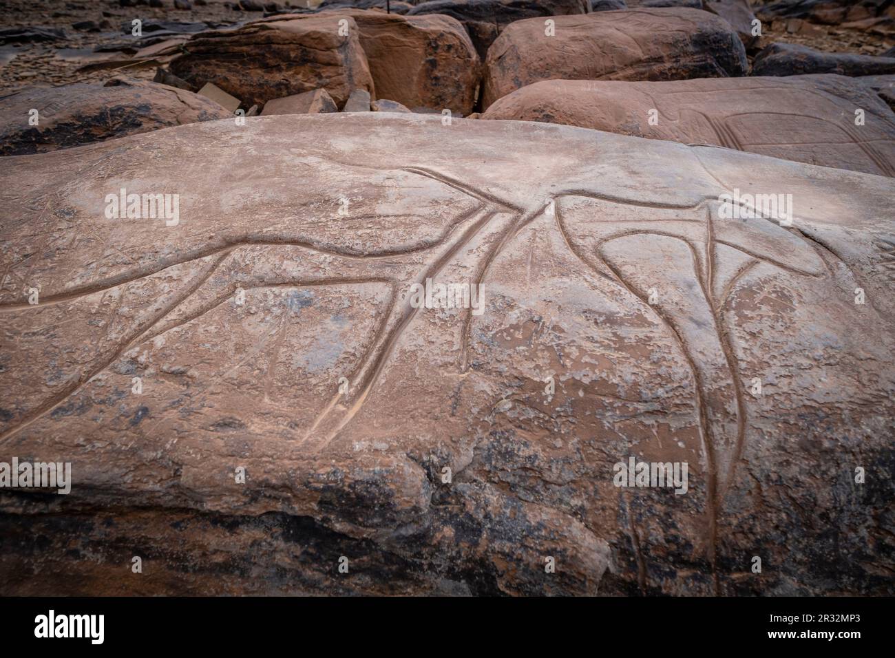 petroglyph, Aït Ouazik rock deposit, late Neolithic, Morocco, Africa ...