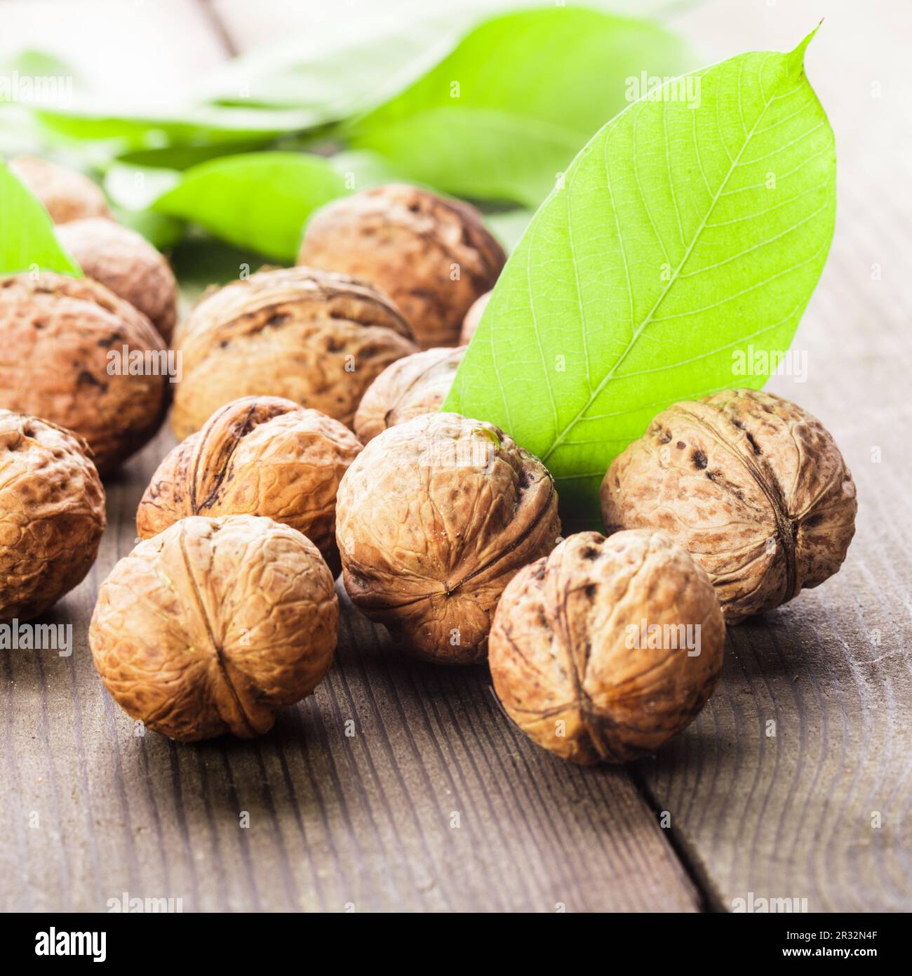 Eat nuts hi-res stock photography and images - Alamy