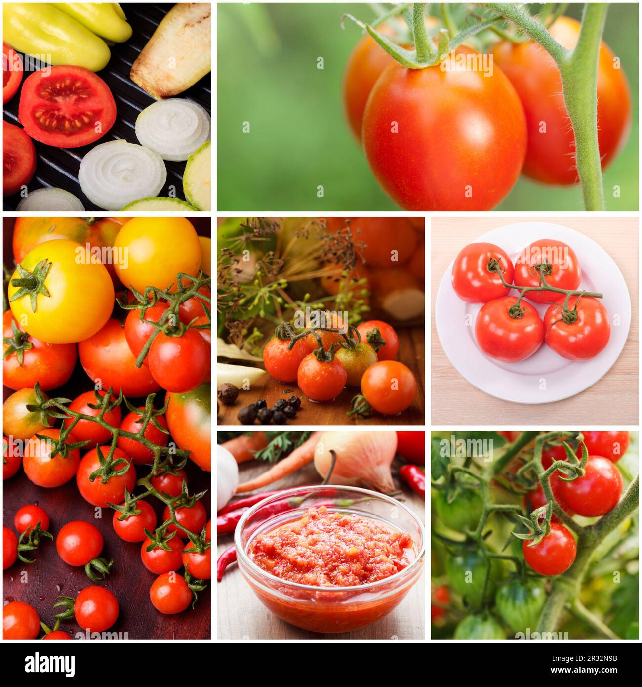 Tomatoes paste Cut Out Stock Images & Pictures - Alamy