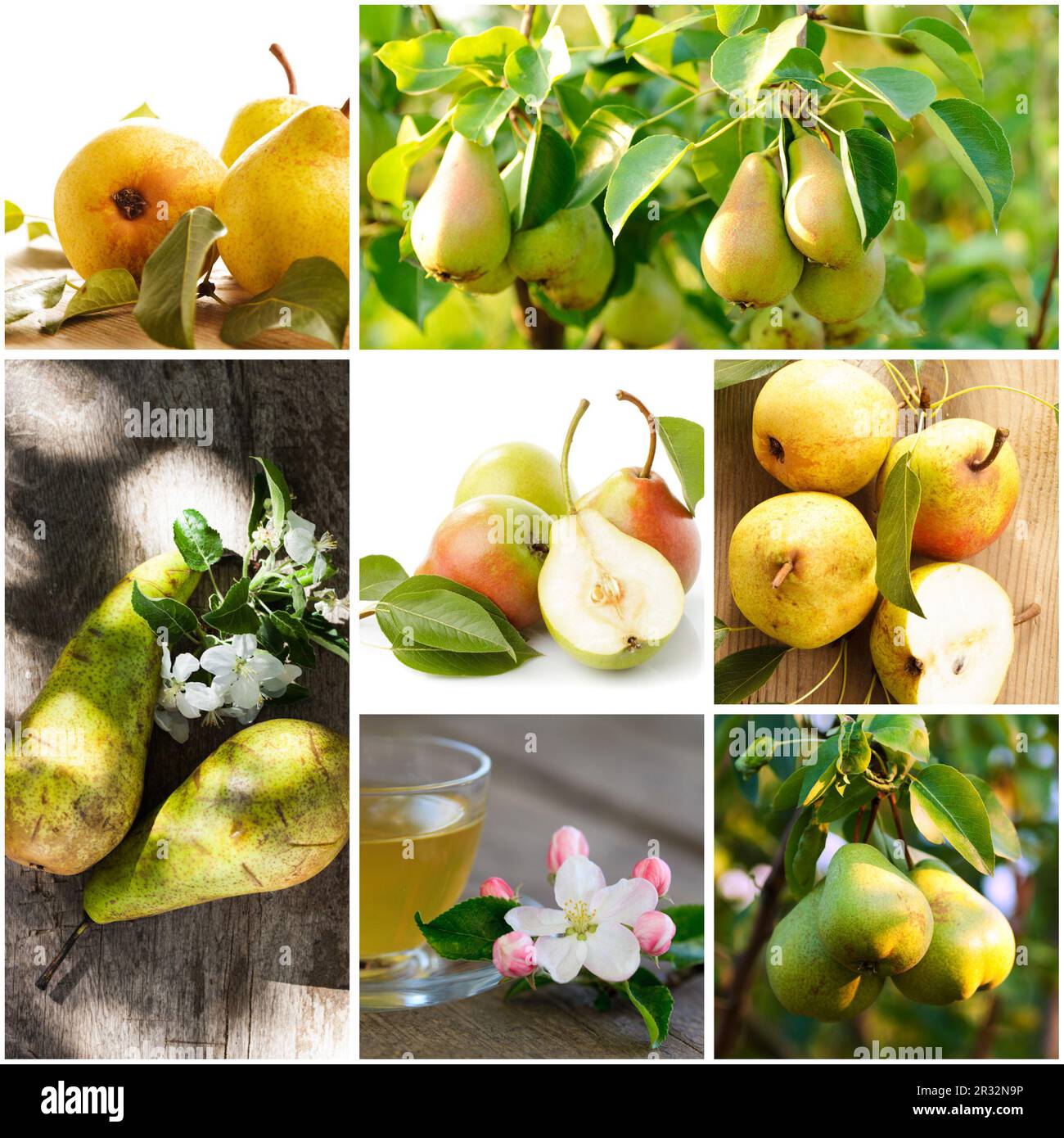 Fresh various pears Stock Photo - Alamy