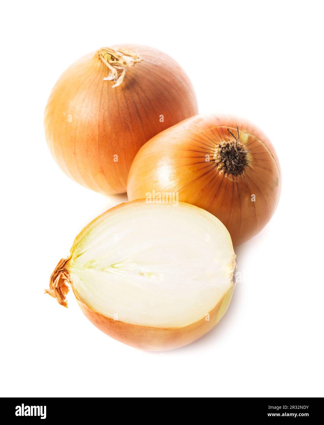 Edible bulbs Cut Out Stock Images & Pictures - Alamy