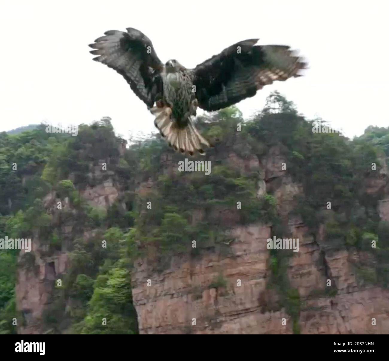 Changsha. 22nd May, 2023. This screenshot shows a raptor attacking a ...