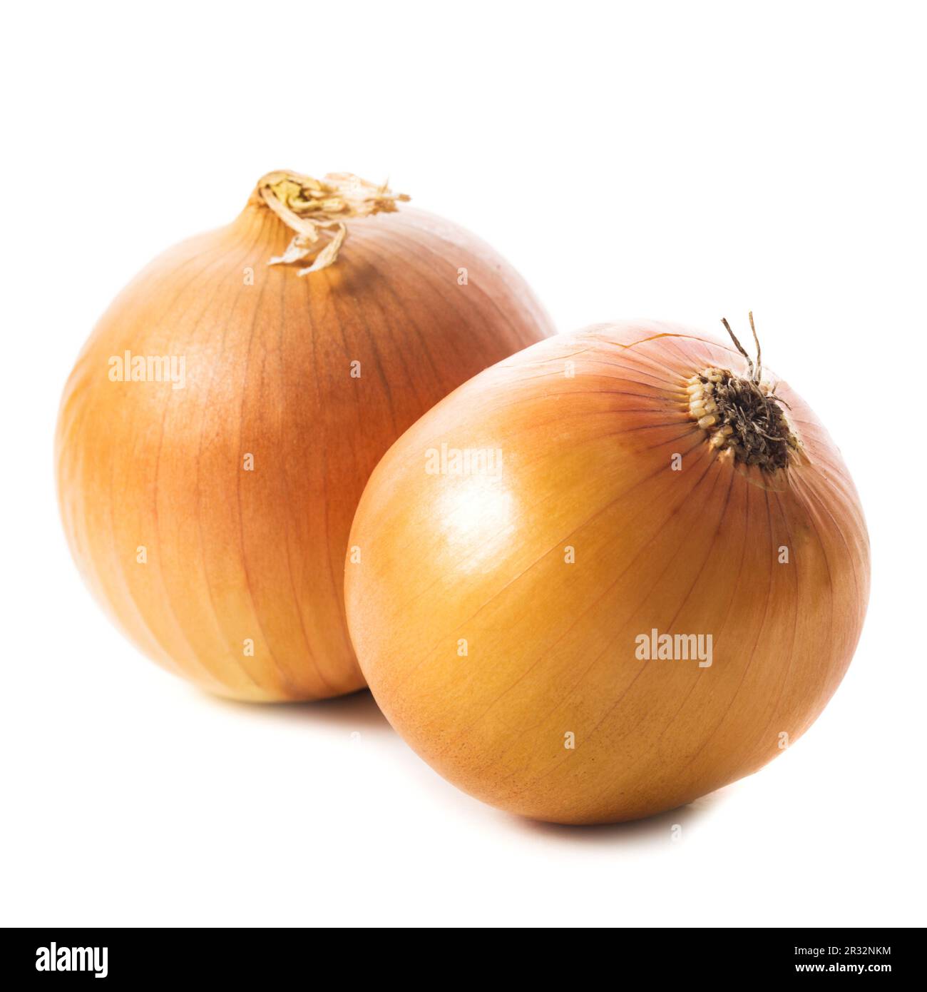 Edible bulbs Cut Out Stock Images & Pictures - Alamy
