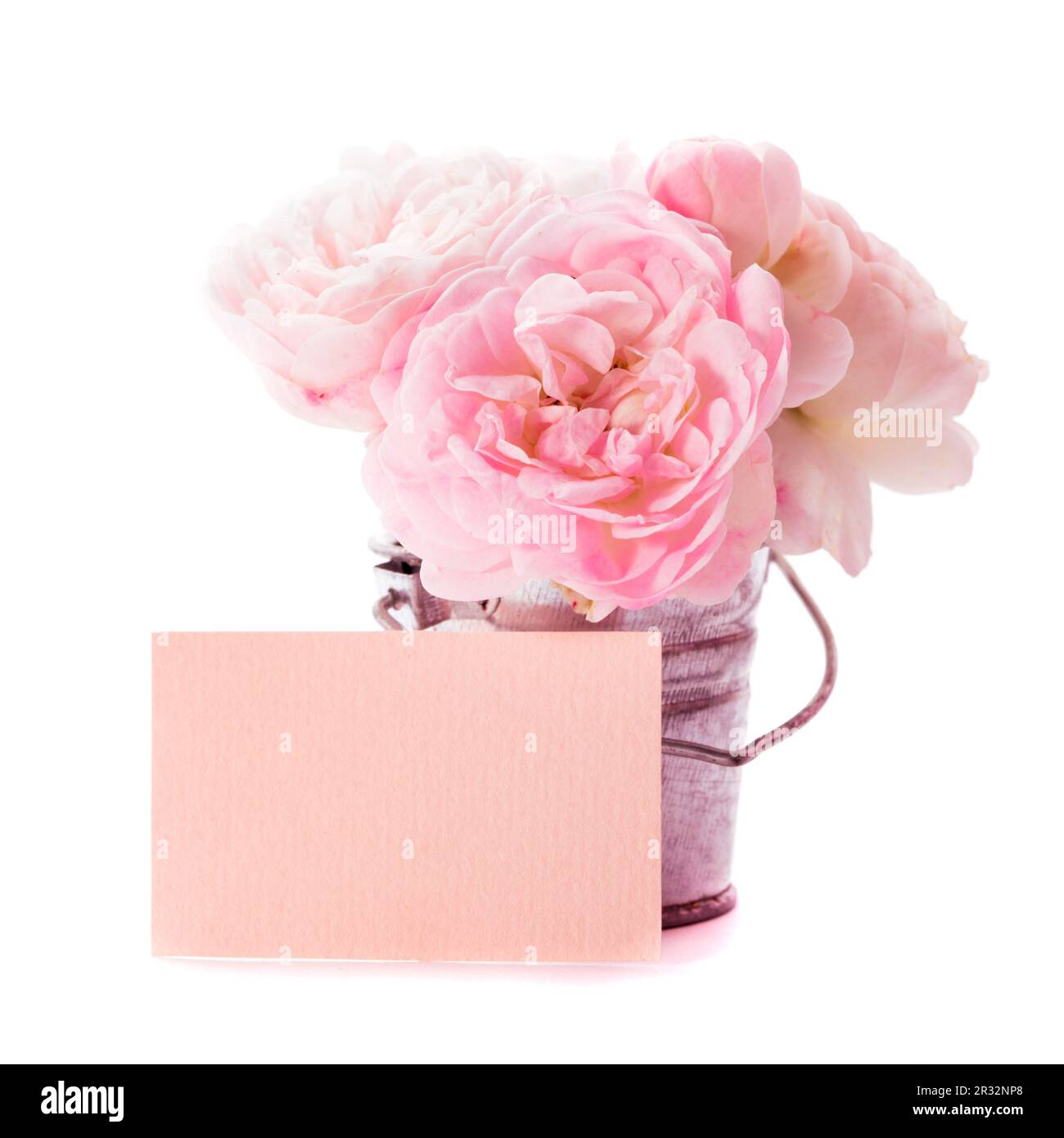 Pink roses bunch Stock Photo - Alamy