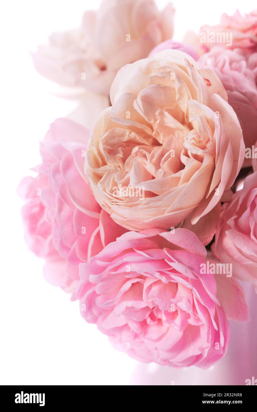 Roses bunch hi-res stock photography and images - Alamy