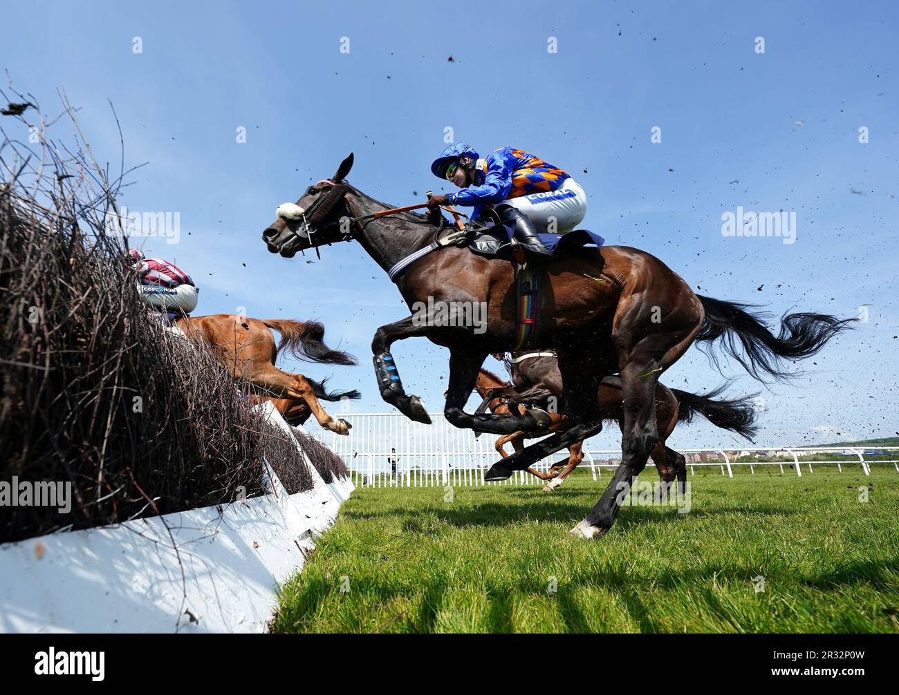 Scrum diddly hi-res stock photography and images - Alamy
