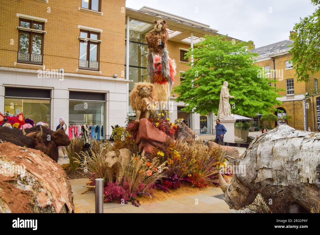 Lion king themed flower hi-res stock photography and images - Alamy