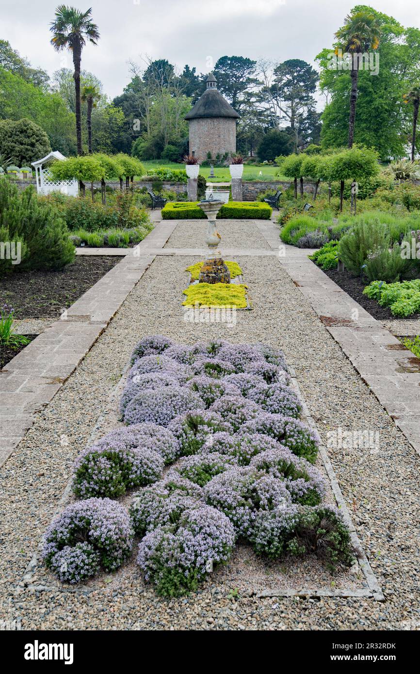 The long view towards the ancient, thatched, Colombier at Samares Manor ...