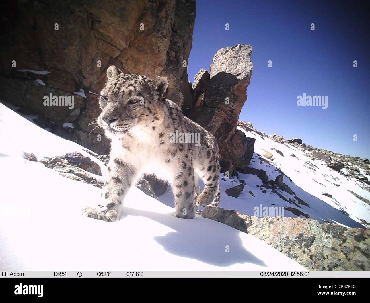 Reserve handout hi-res stock photography and images - Alamy
