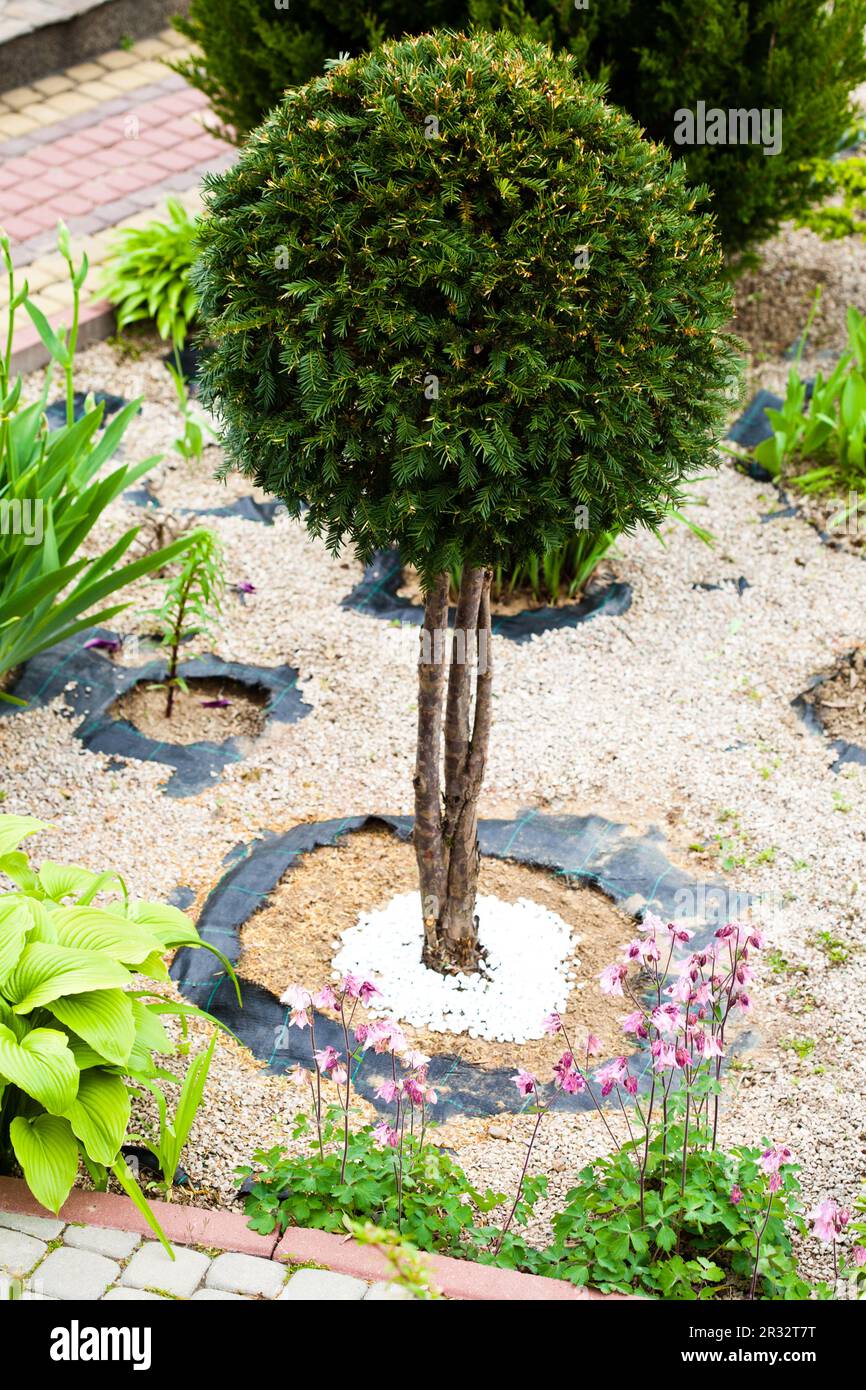 Beautiful rock garden Stock Photo - Alamy