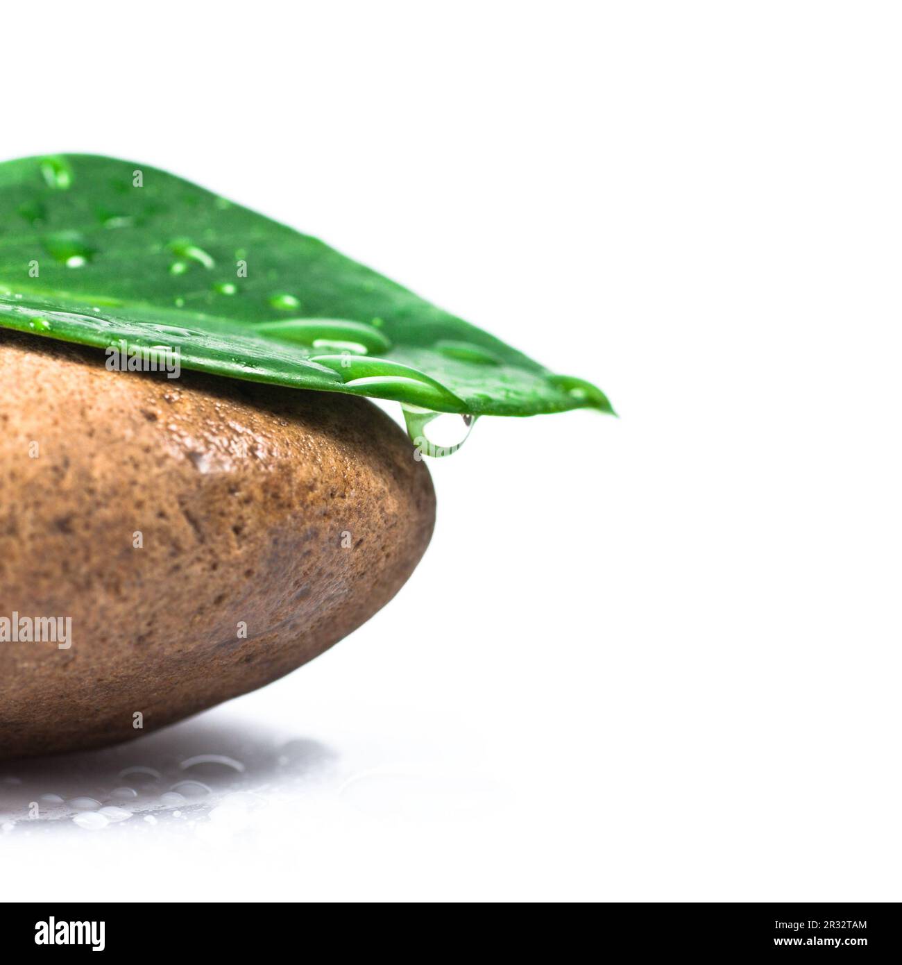 Stone leaf hi-res stock photography and images - Alamy