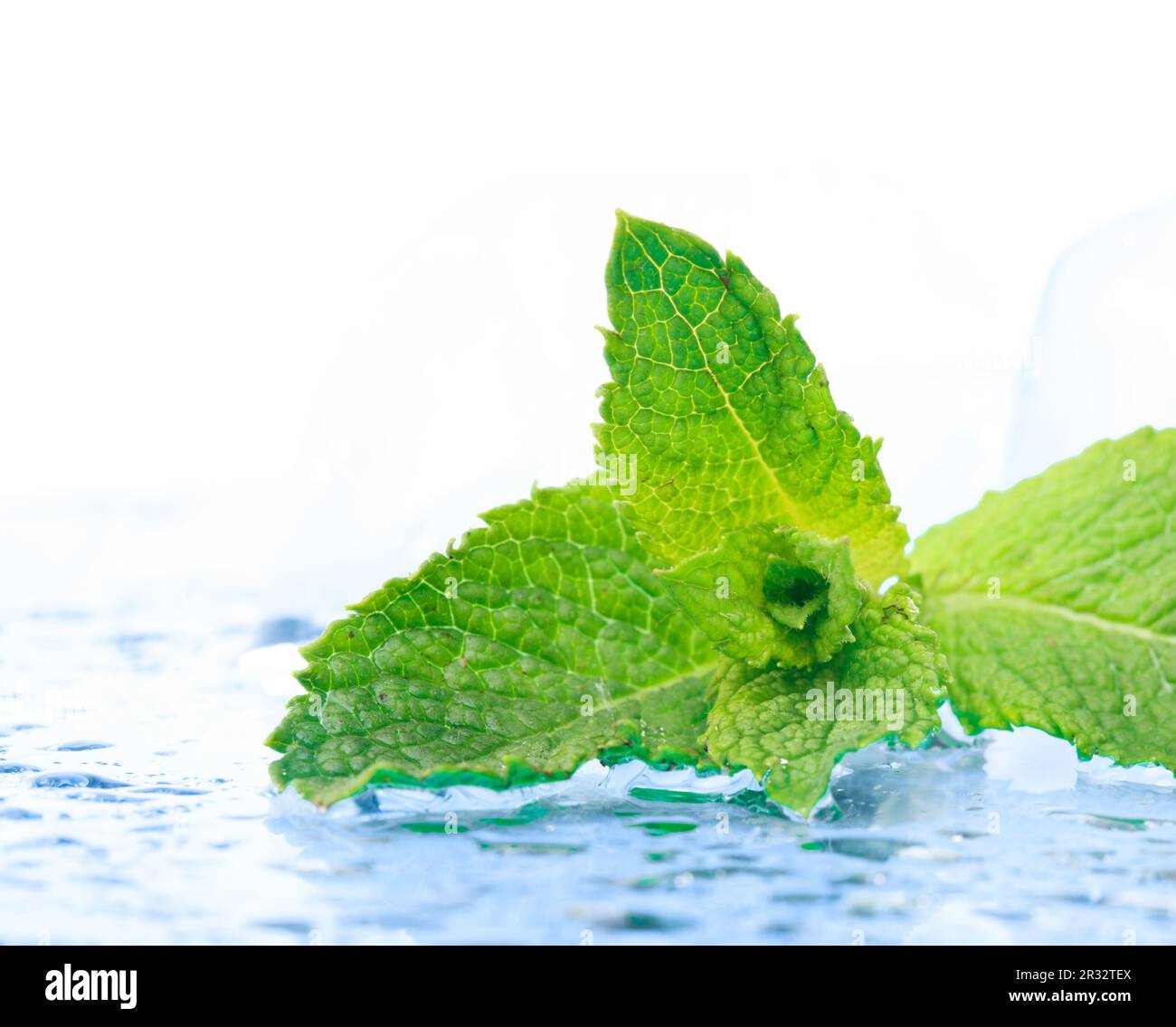 Freeze freshness hi-res stock photography and images - Alamy