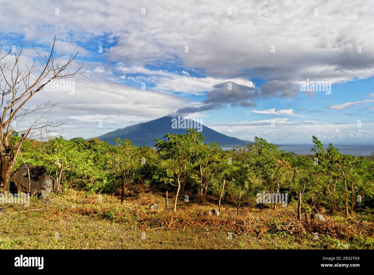 Nicaragua wood hi-res stock photography and images - Alamy
