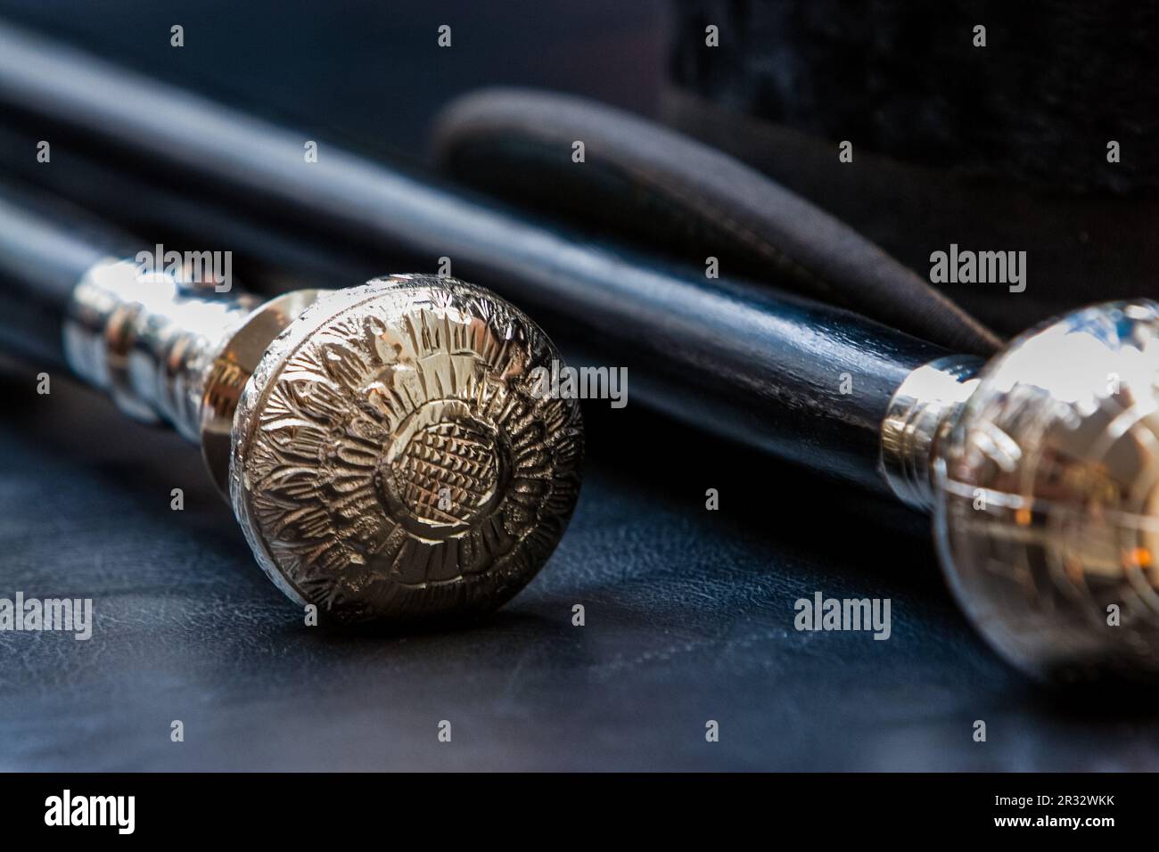 Silver walking stick Stock Photo - Alamy