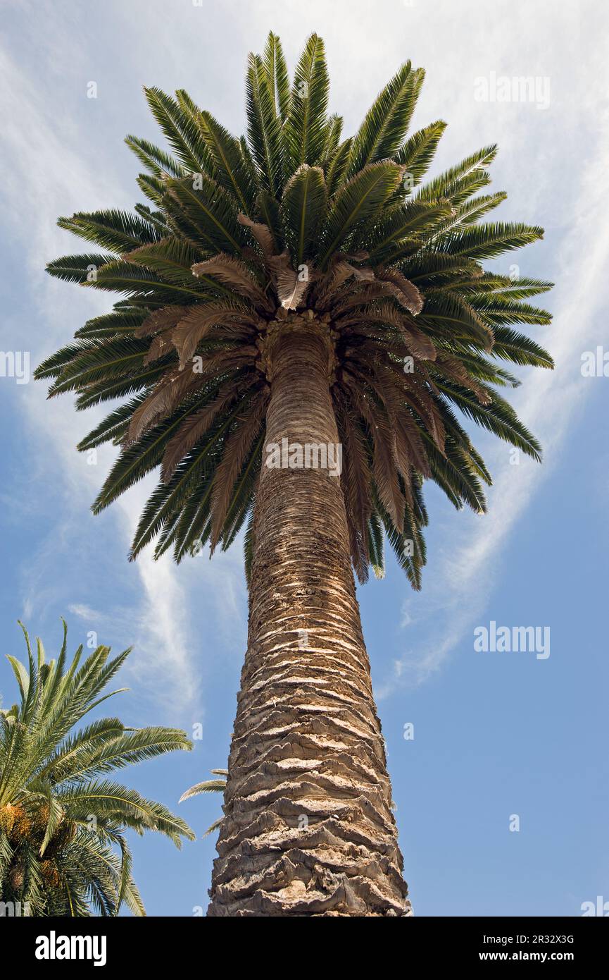 Plaza andres hi-res stock photography and images - Alamy