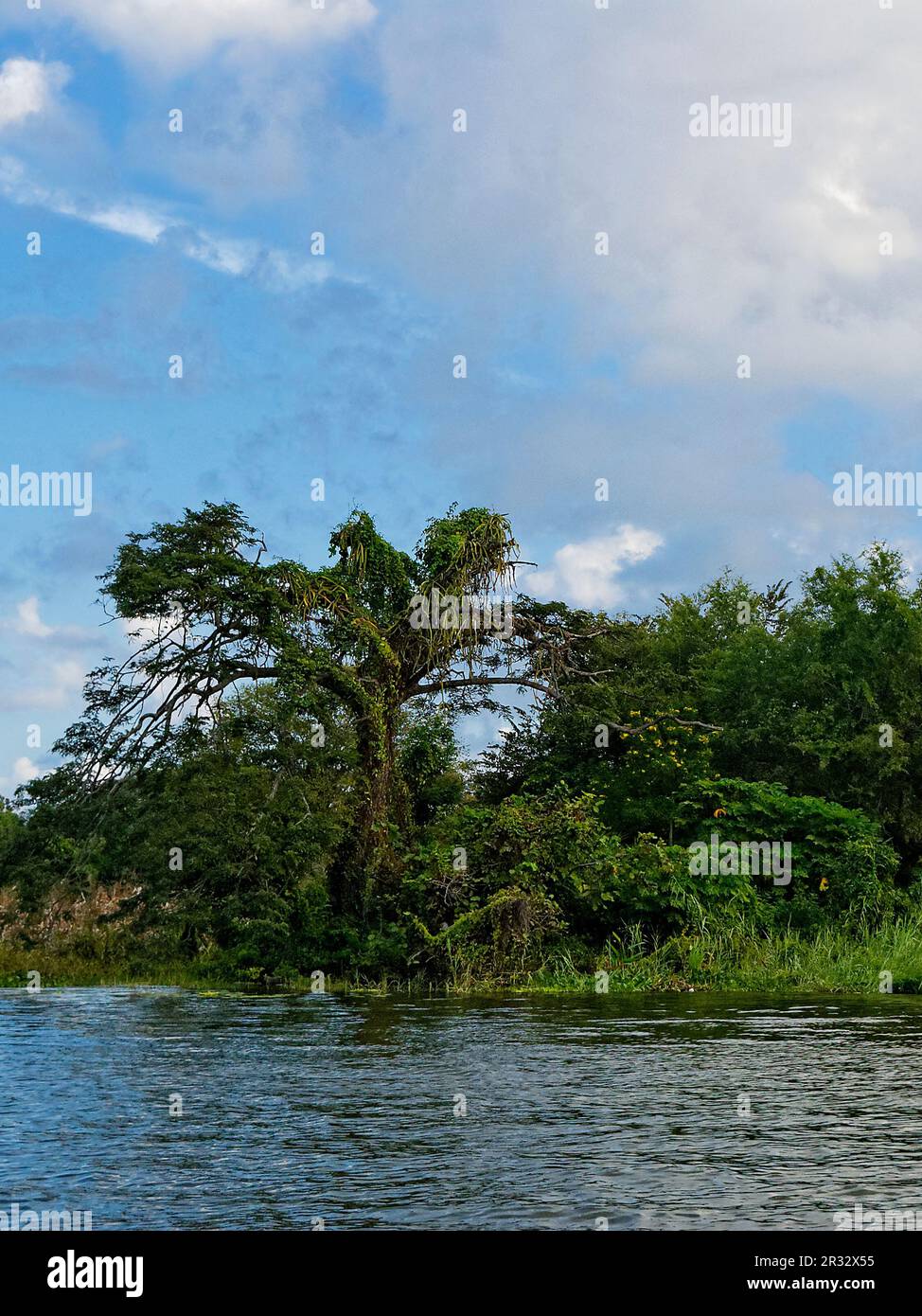 Islets of Granada, Nicaragua Stock Photo - Alamy