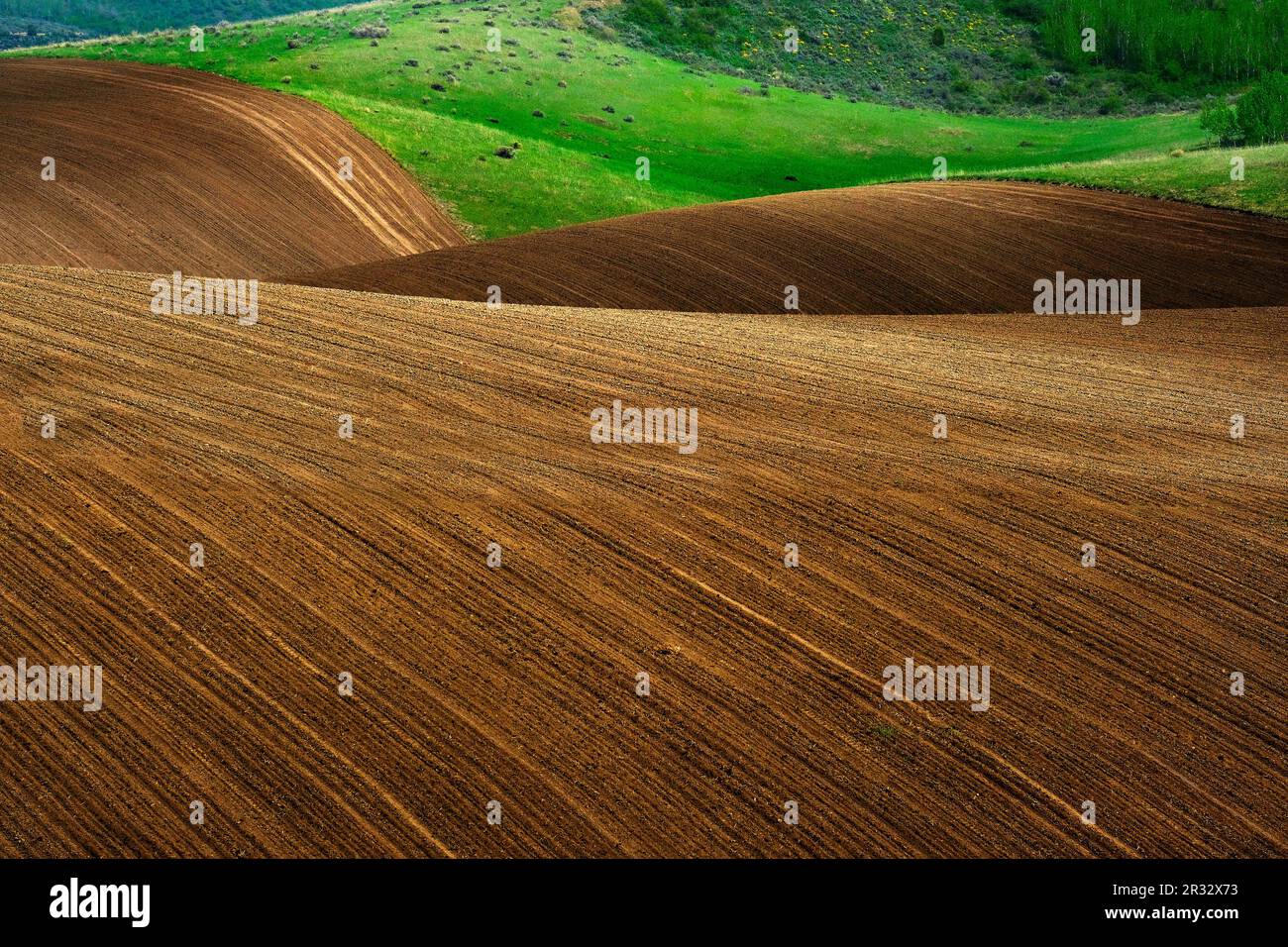 Rolling plowed farm field with furrows and marks or rows texture Stock ...