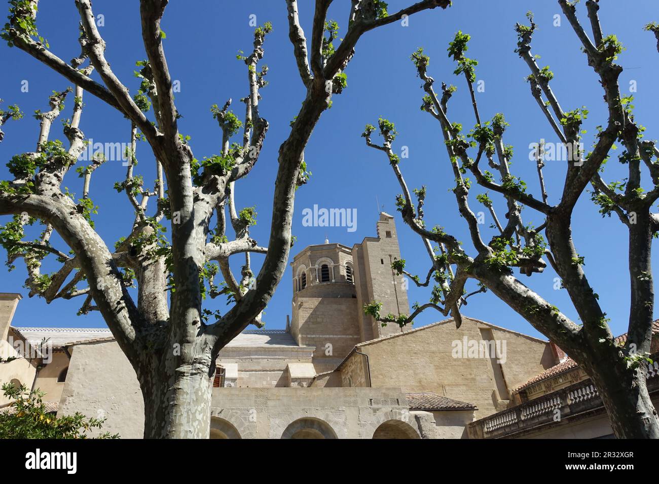Cavaillon hi-res stock photography and images - Alamy