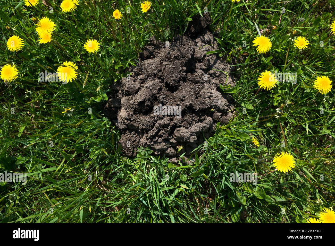 Underground race hi-res stock photography and images - Alamy