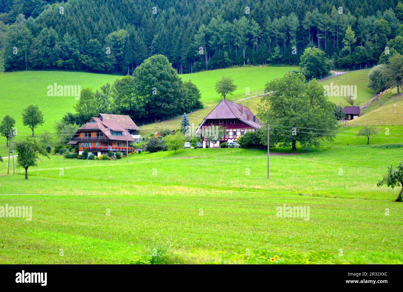 Forest farms hi-res stock photography and images - Alamy