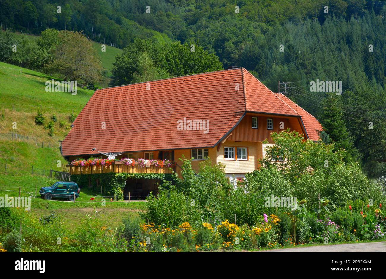 Black Forest Farm Stock Photo - Alamy