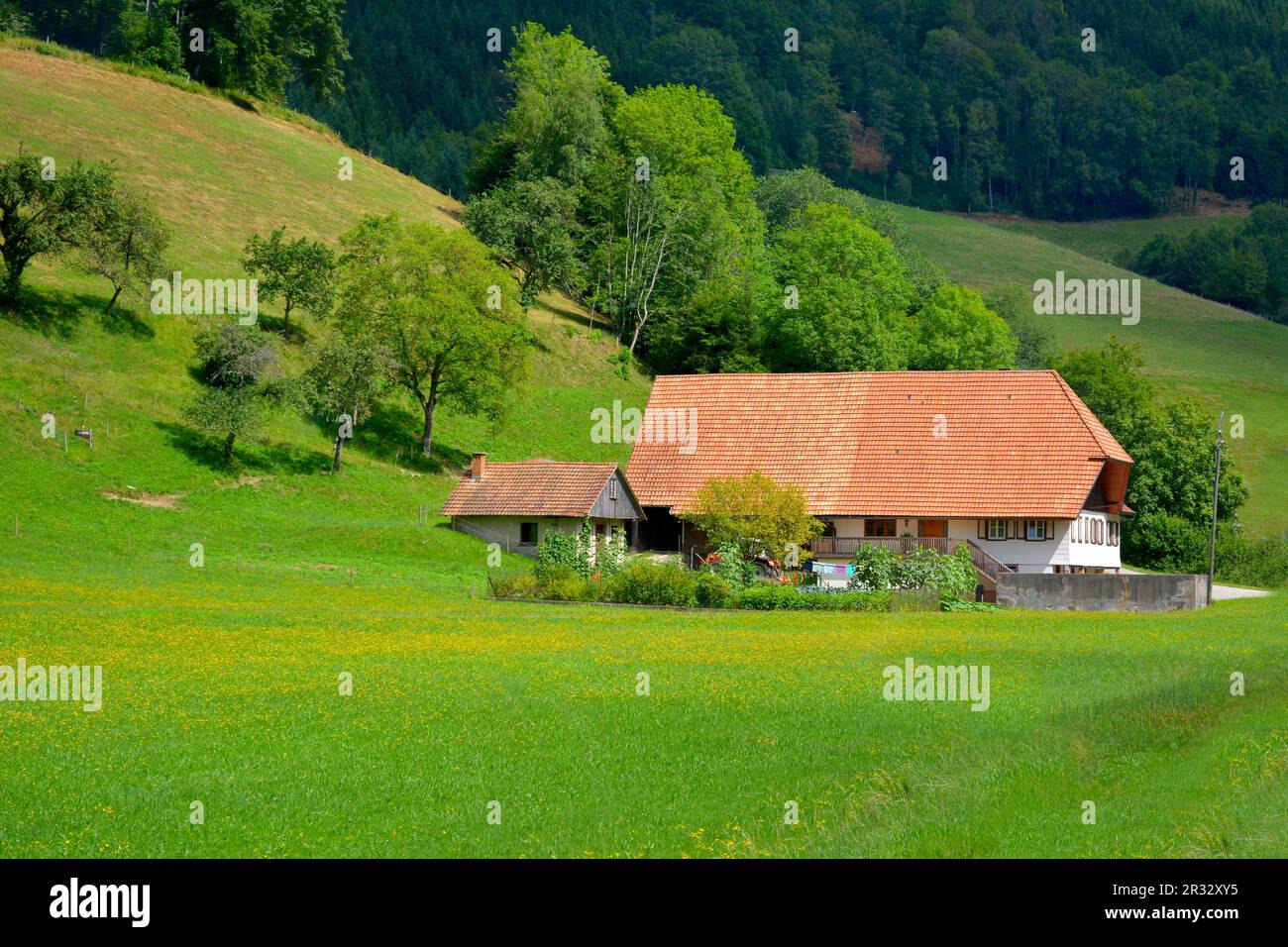 Black Forest Farm Stock Photo - Alamy