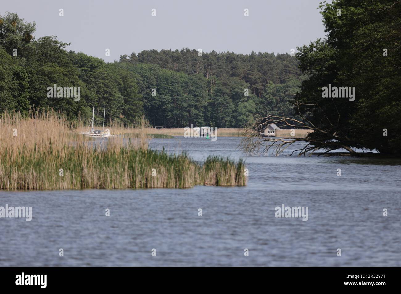 Grosser wentowsee hi-res stock photography and images - Alamy