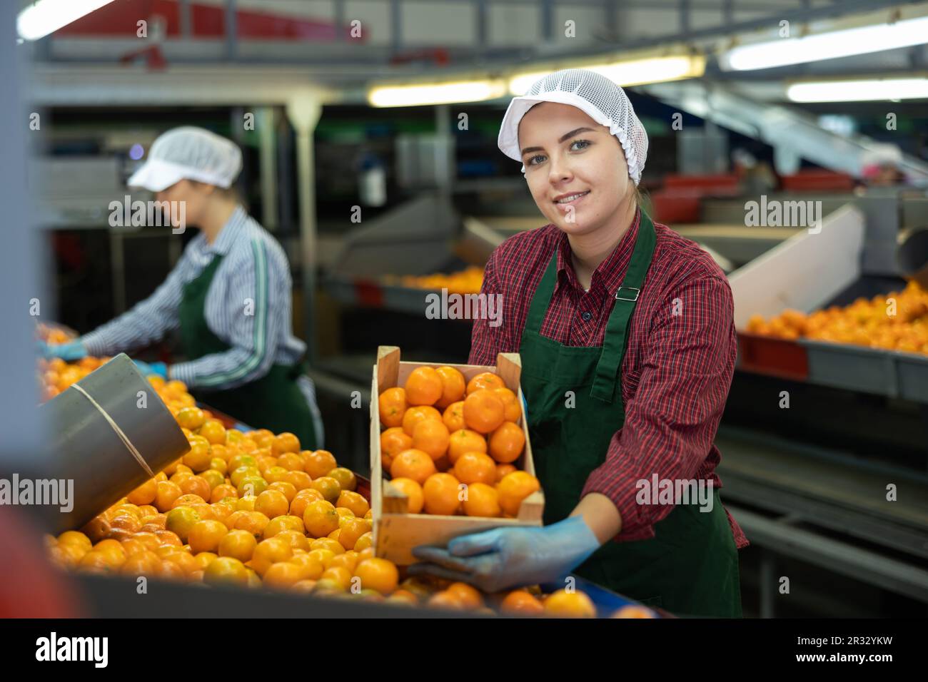 Happy female sorting factory worker showing mandarins in box Stock ...