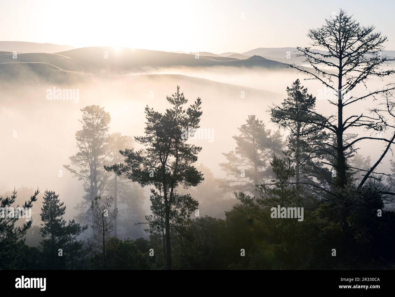 Early morning ground fog Stock Photo - Alamy