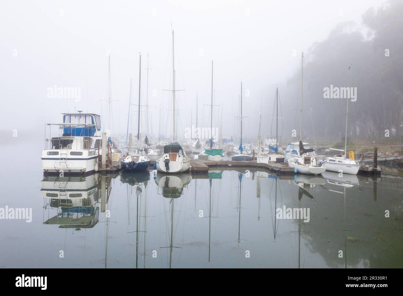 Morning fog Morro Bay marina Stock Photo - Alamy