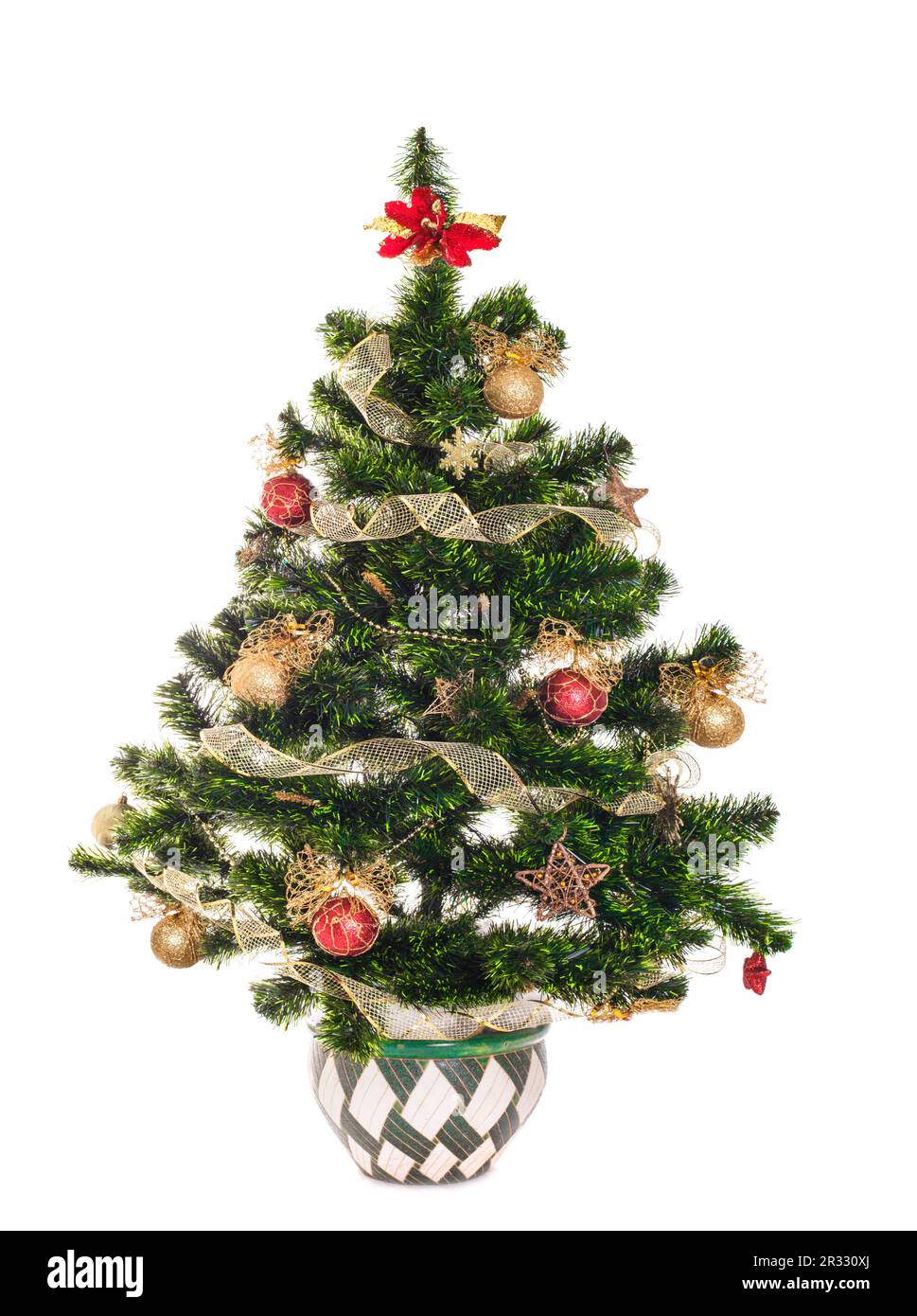 Christmas tree poinsettia red Cut Out Stock Images & Pictures - Alamy