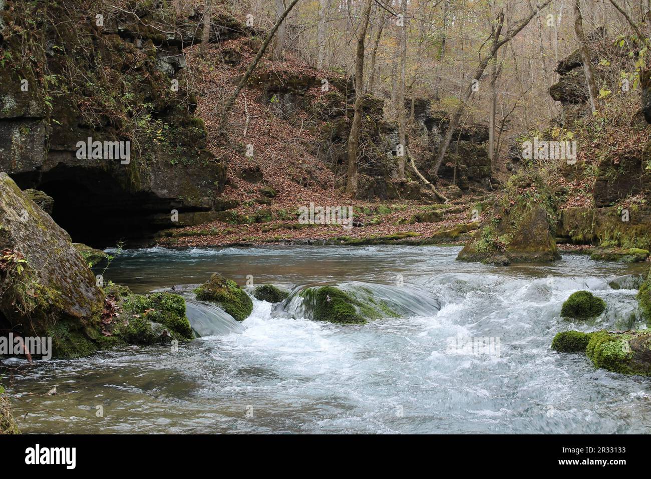 Mark twain national forest hi-res stock photography and images - Alamy