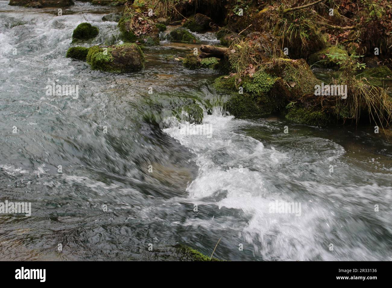 tumbling water in a winter forest at Greer Spring, Mark Twain National ...