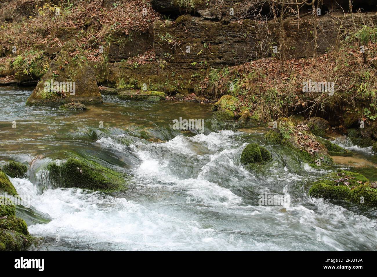 tumbling water in a winter forest at Greer Spring, Mark Twain National ...